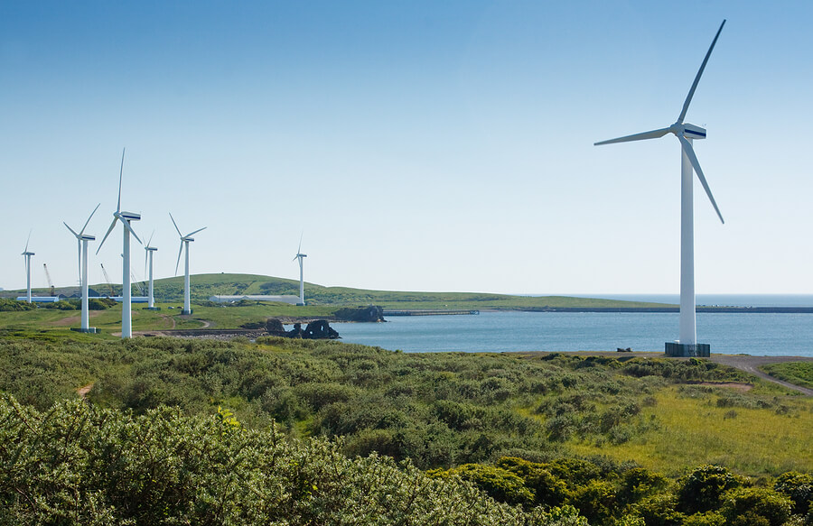 Where To Study Environmental Management Student World Online where-to-study-environmental-management-student-world-online